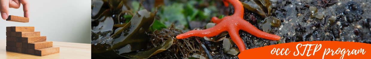 OCCC STEP Program - Oregon Coast Community College